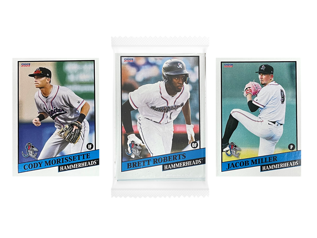 2023 Jupiter Hammerheads Team Set – Roger Dean Chevrolet Stadium ...