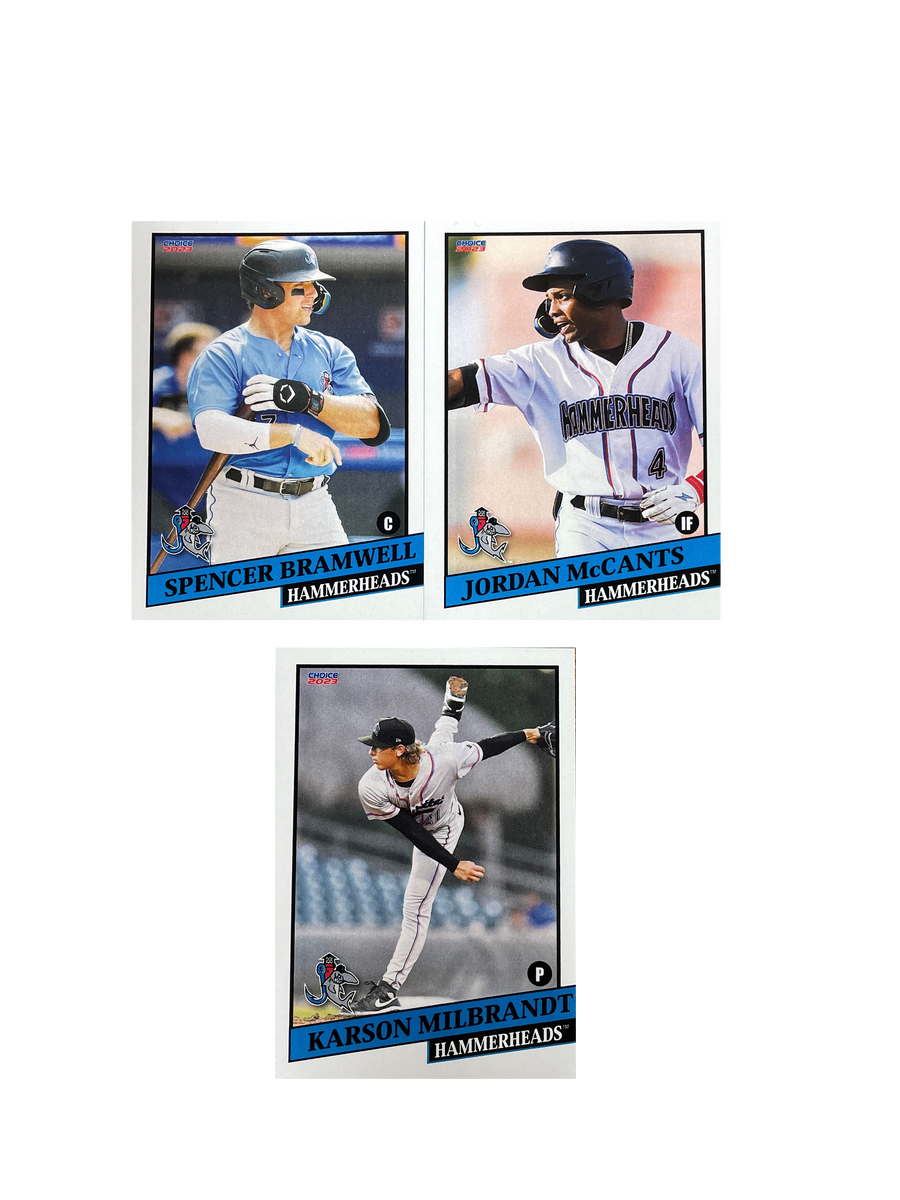 2023 Jupiter Hammerheads Team Set – Roger Dean Chevrolet Stadium ...