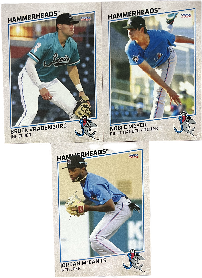 2024 Jupiter Hammerheads Team Set – Roger Dean Chevrolet Stadium ...